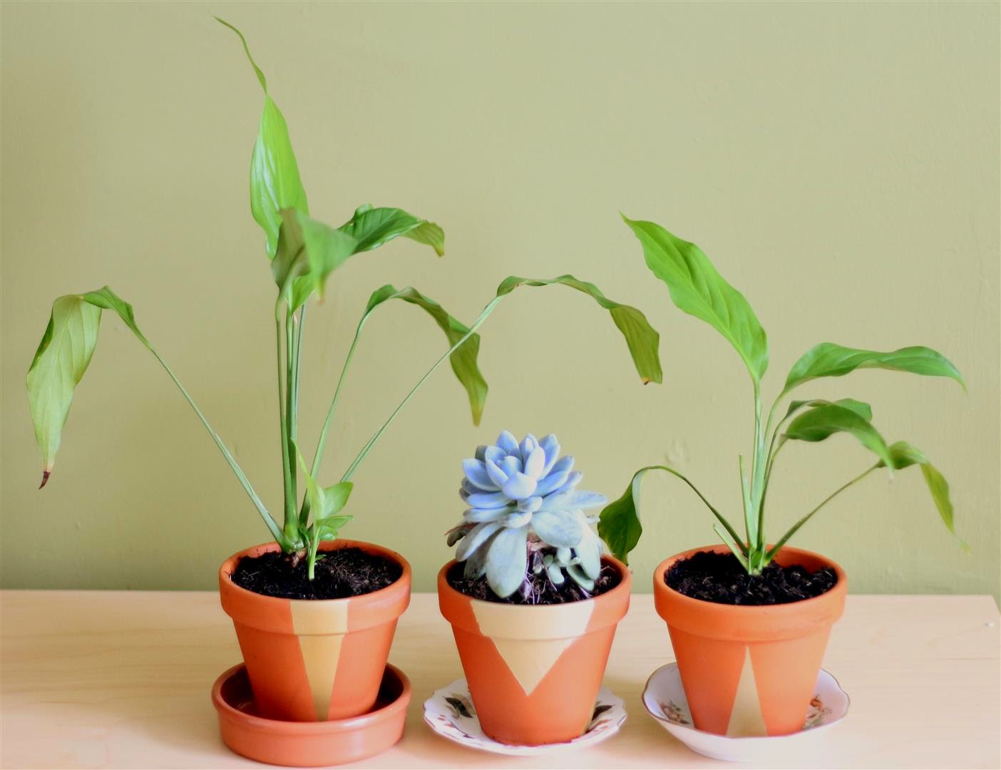 emuse: Triangle plant pots