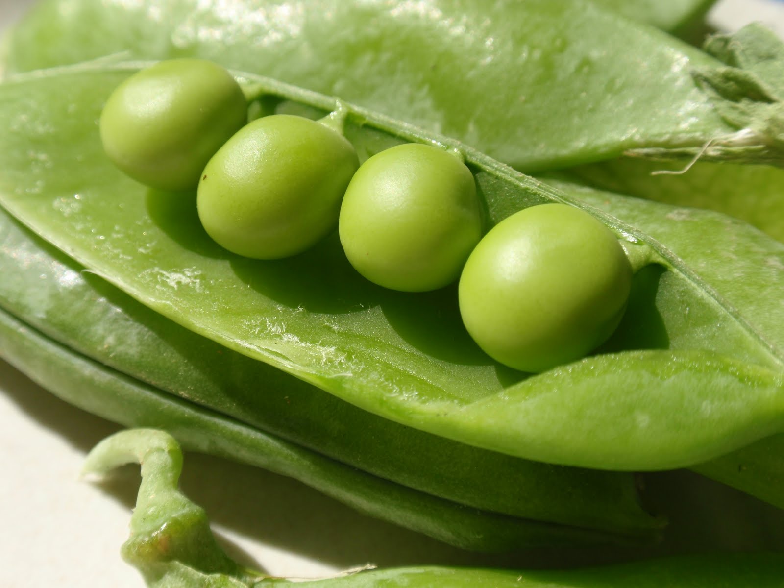 heather's vegetable garden: Peas, done for the season