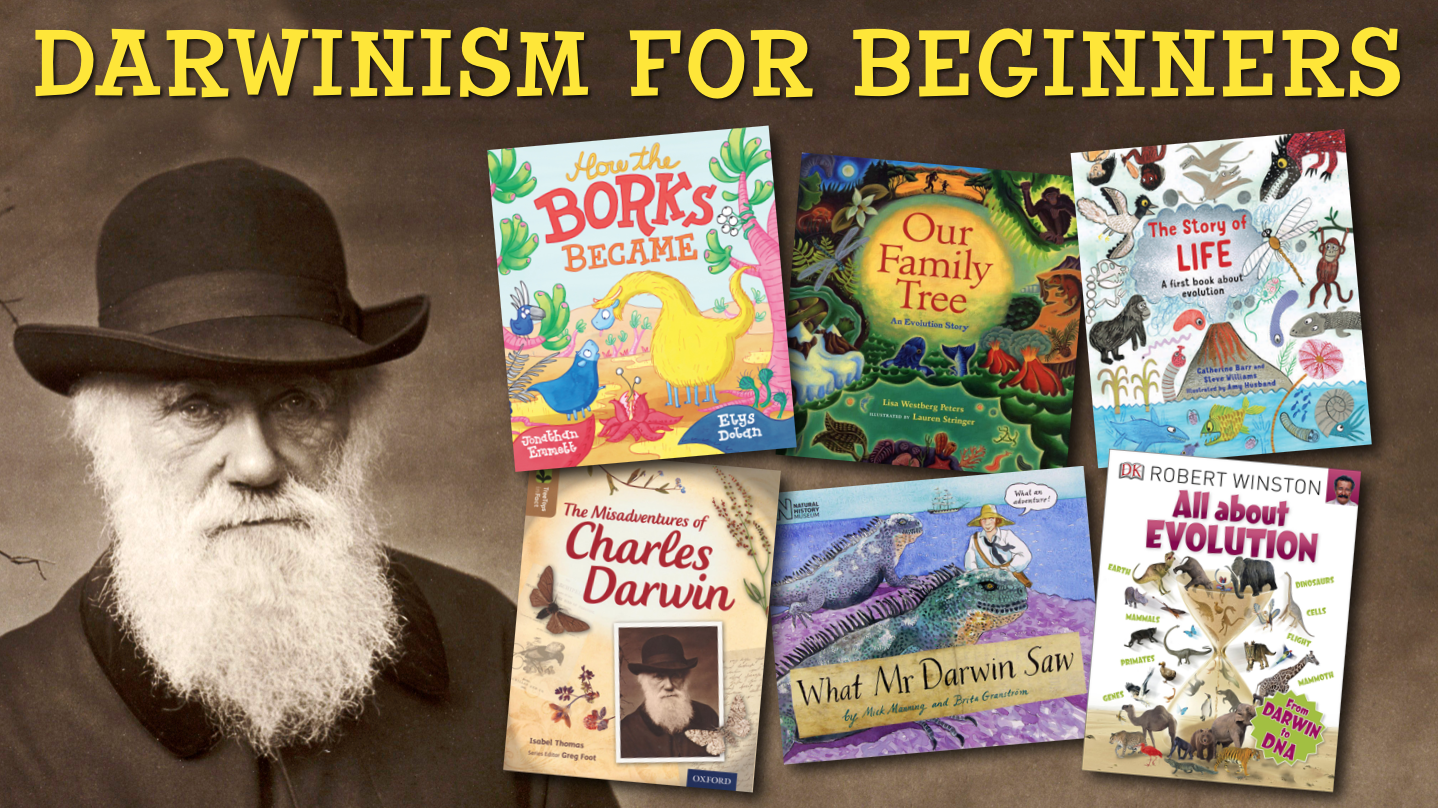 Evolution Pictures For Kids