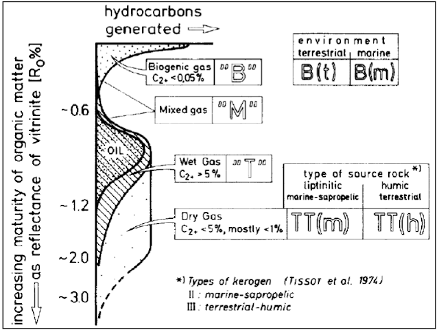 What is Biogenic Gas? - Widia's Sojourn