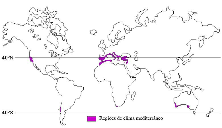 GEOGRAFIA 8: O clima temperado mediterrâneo