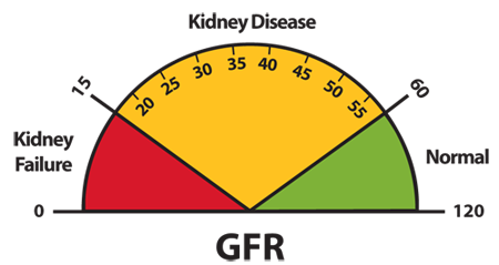 treatment for kidney disease: The Reason for GFR Decline - Kidney Disease