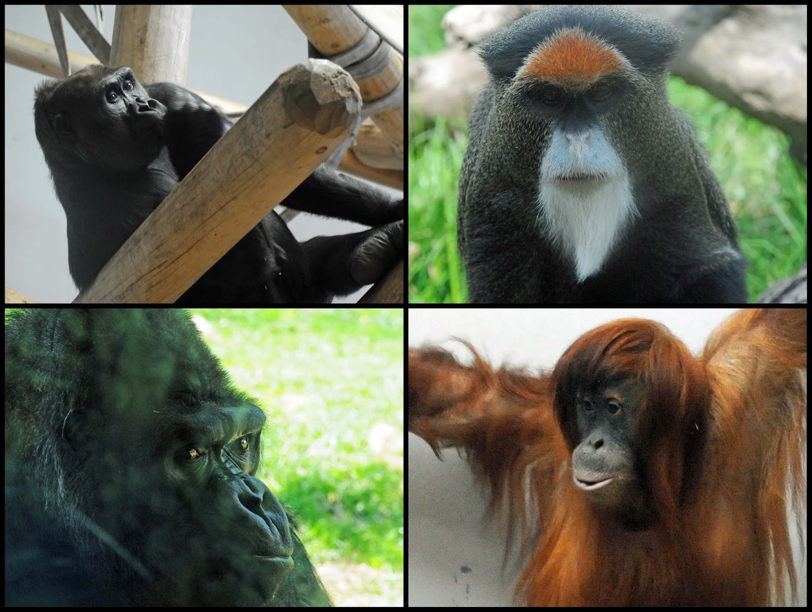 David Hoyt's Blog: May 2018