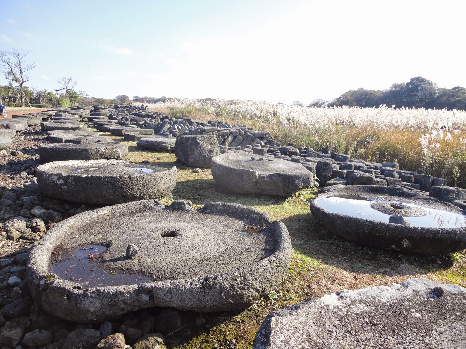The Sweet Melo Touch: Jeju Stone Park Museum