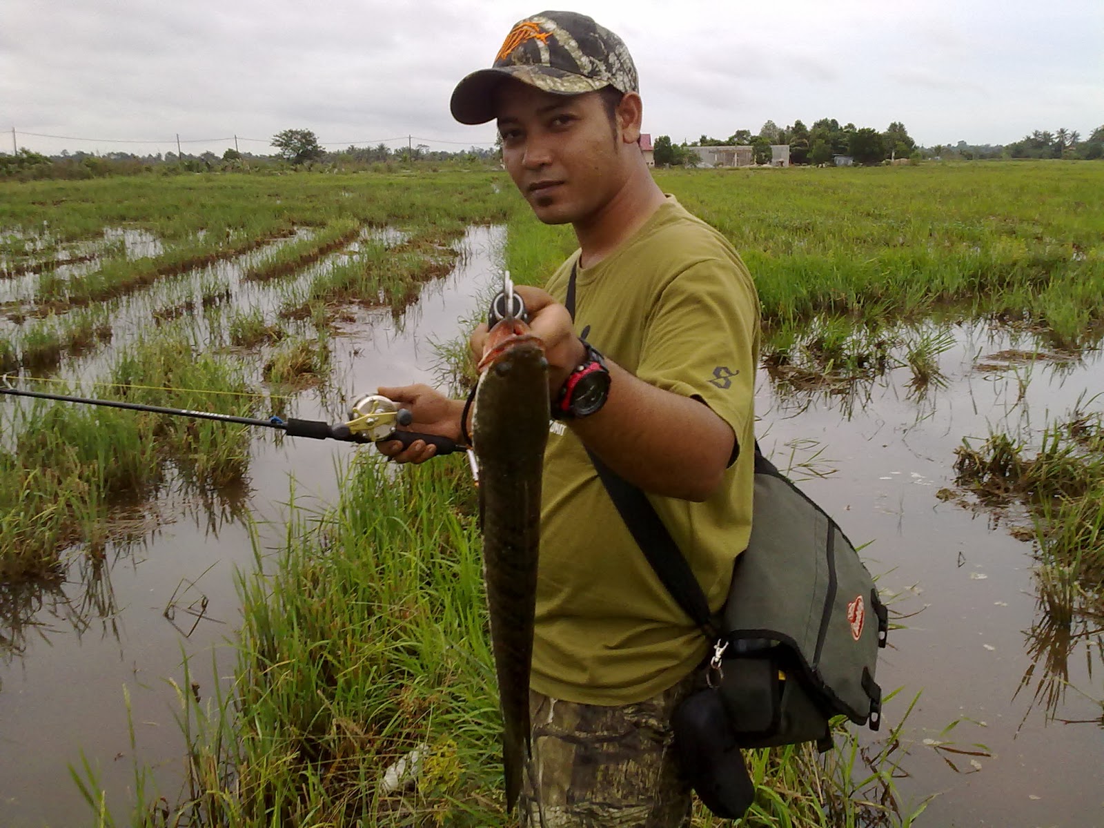 Gewang Garang: Channa Bendang Padi