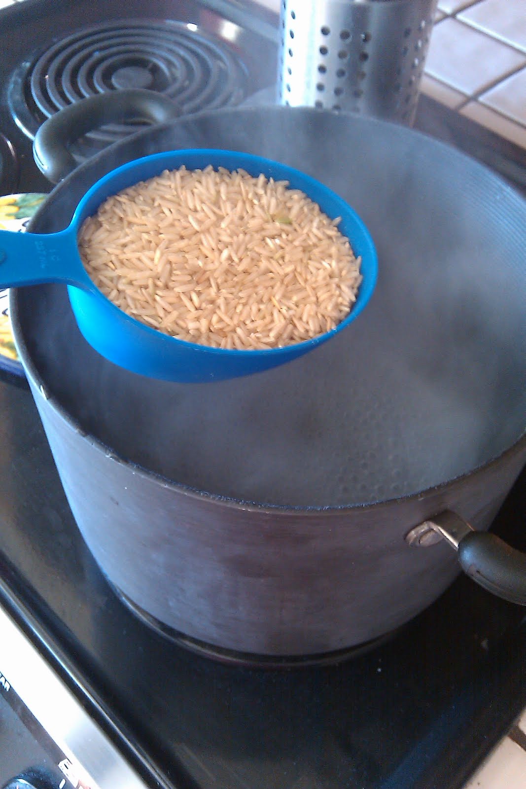 Making Over the Martins: Homemade Rice Milk