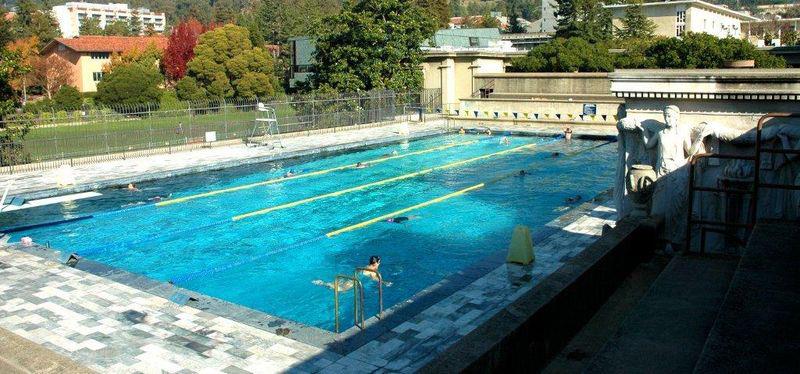 Sara Lytton: Swimming Studies