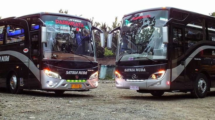 BUS PARIWSATA PURWOKERTO: BUS SATRIA MUDA PARIWISATA