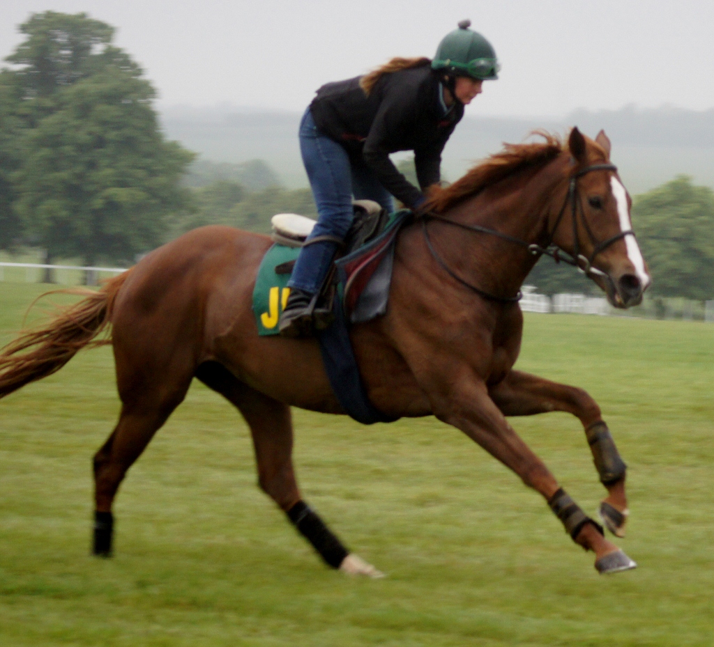 Julia Feilden Racing