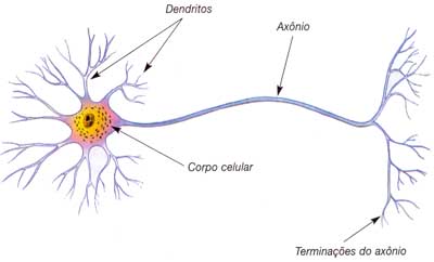 Sistema Nervoso: Esquema de neuronio