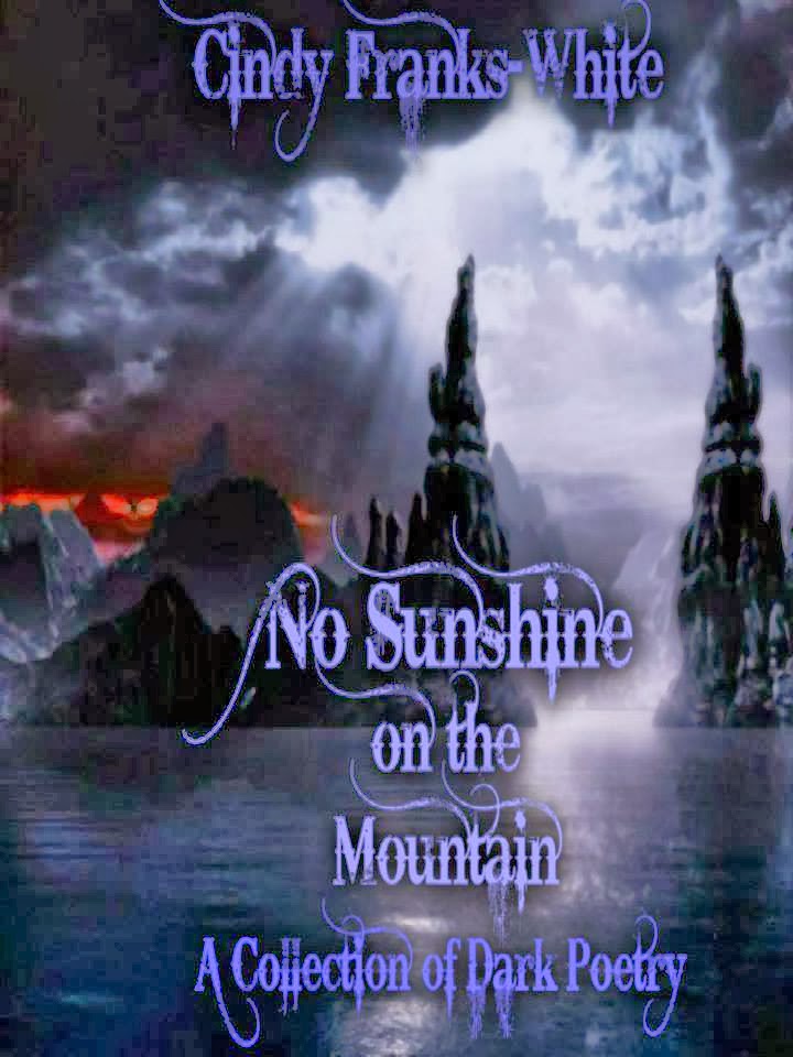 Cindy Franks-White Blog Tour - Anny Books