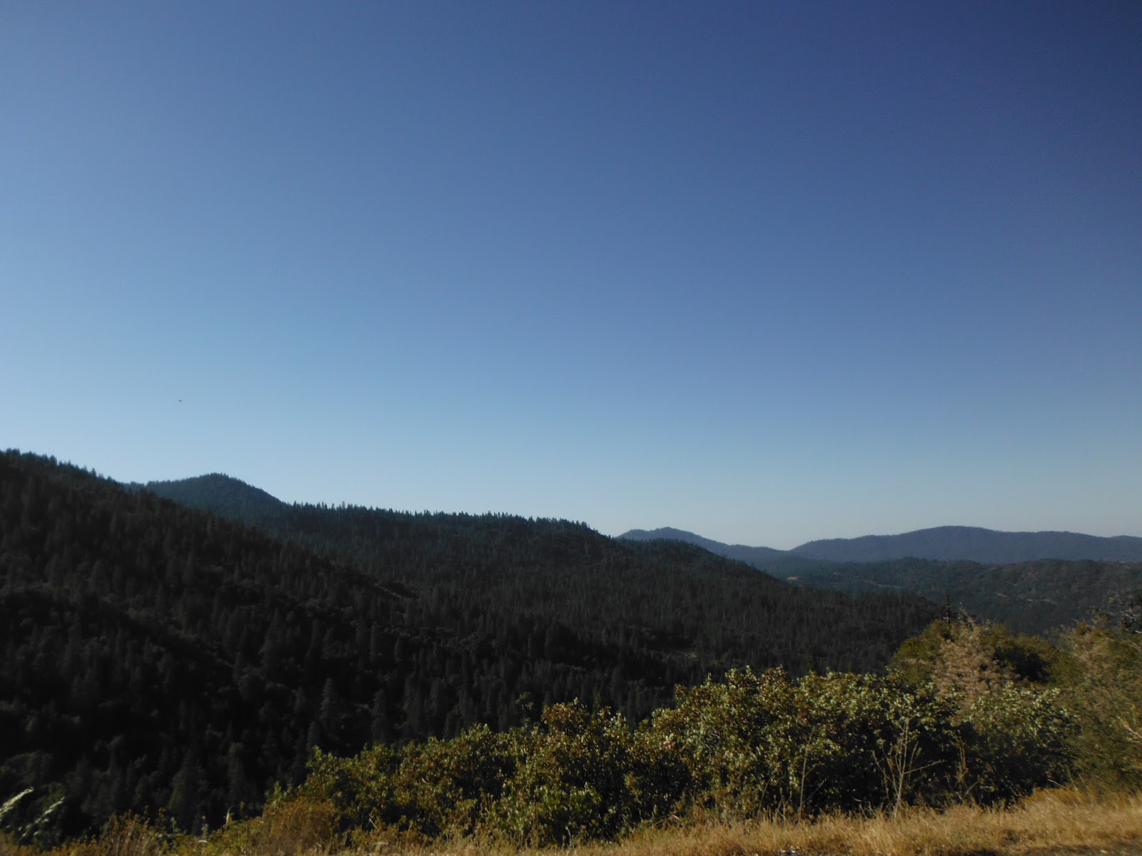 The College Field Manual