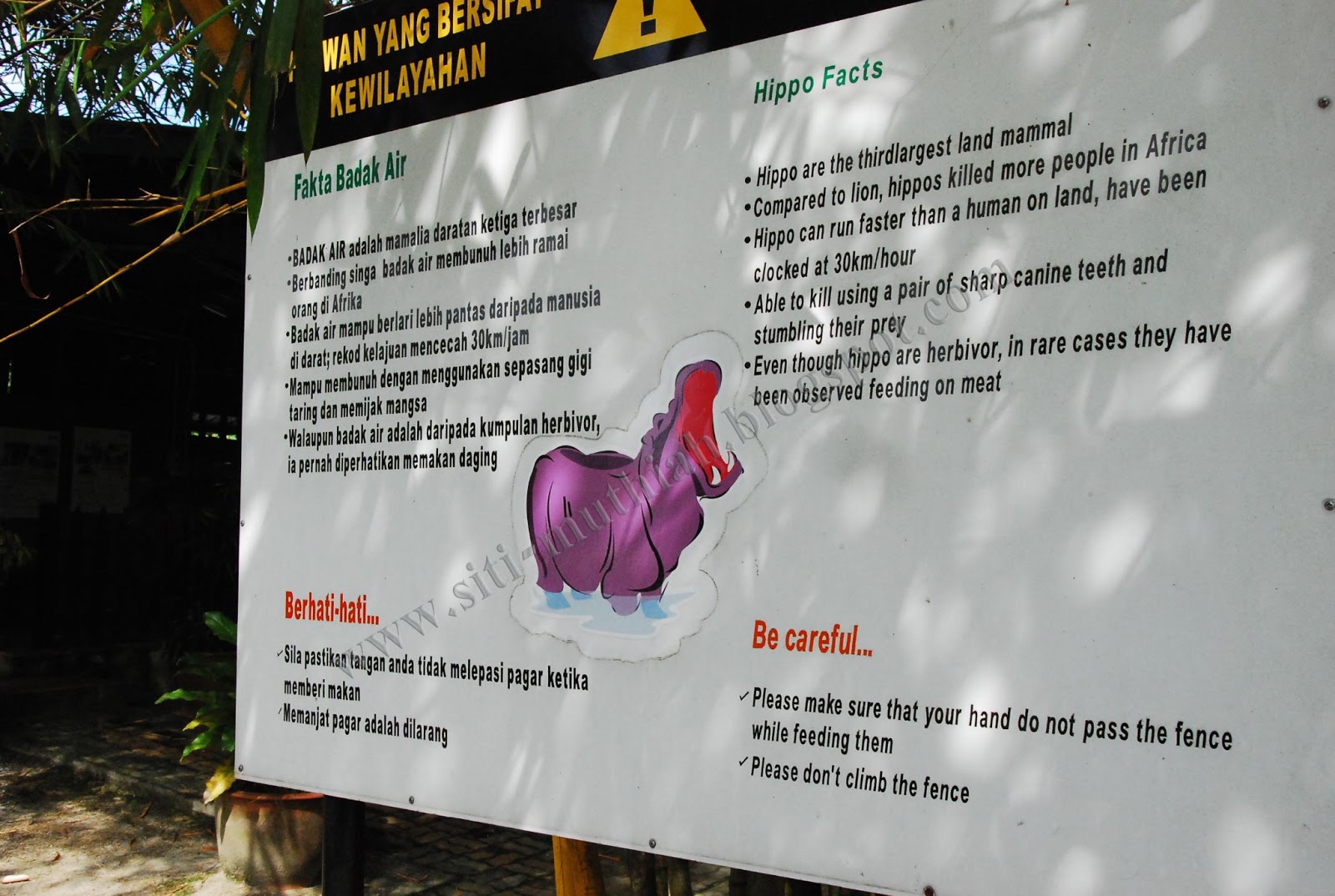 Pabila pena berbicara ~Siti Muthiah: Paya Indah Wetland, Dengkil