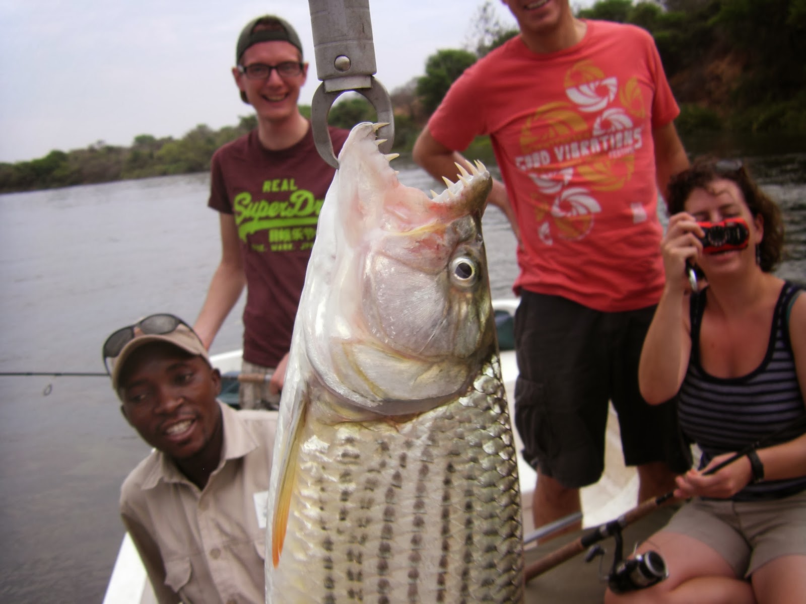 Denzer in Zambia: Fishing for tiger fish