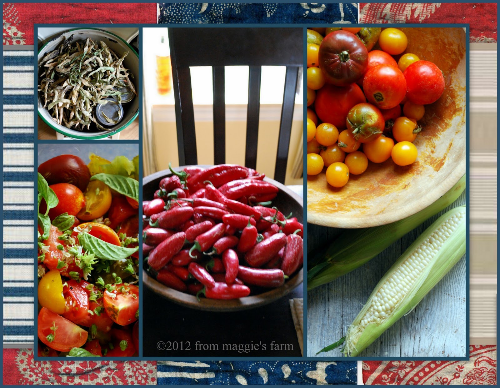 Notes from Maggie's Farm: putting food by: pickled hot pepper rings