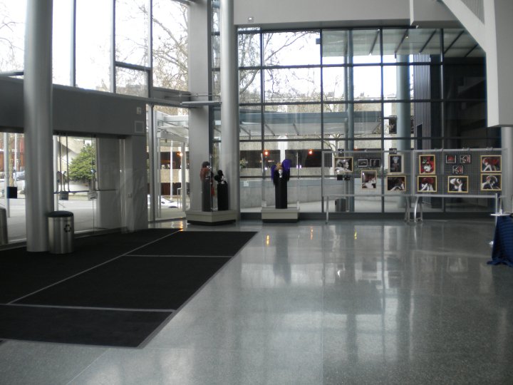 Pure Alchemy: McCall Hall Hair as Art Show March 2010 Part one