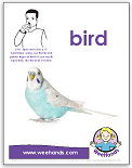 Sharing Saturday: Bird Lessons/Activities | Preschool Powol Packets