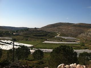 The Holy Land: Day 9 - Israel 2013: Pool of Bethesda, Israel Museum ...