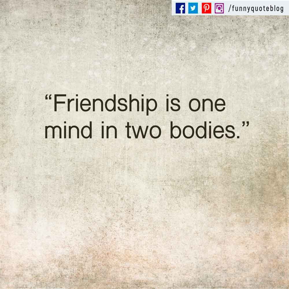 50 Inspirational Quotes About Friendship With Friendship Quotes
