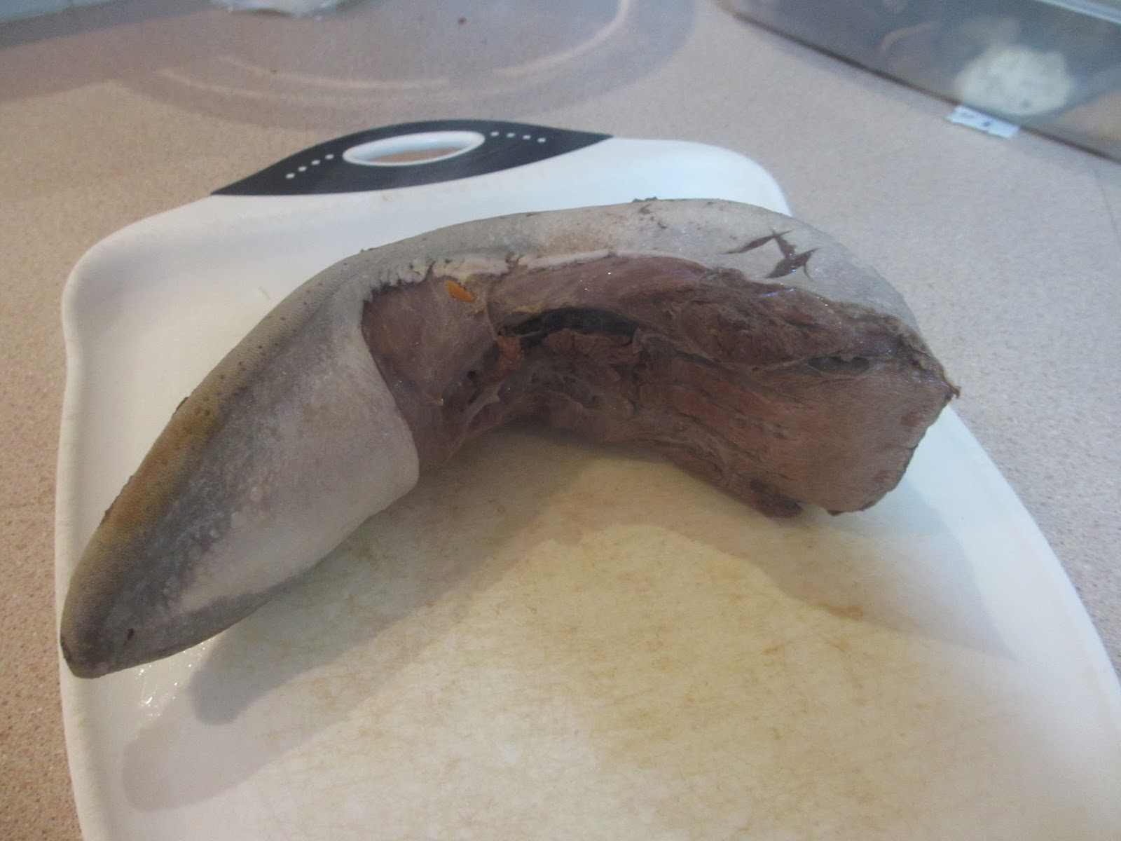 Cannundrums: Buffalo Tongue Stew: Basque Style