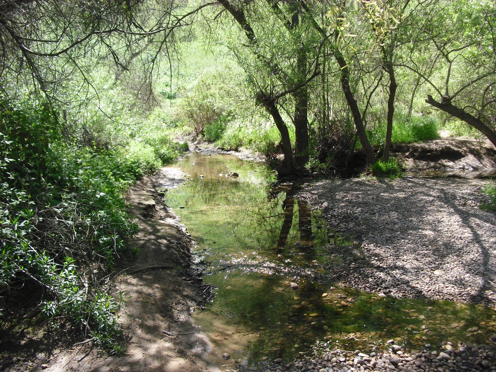 Walking Here and There!: Lopez Canyon (#55)