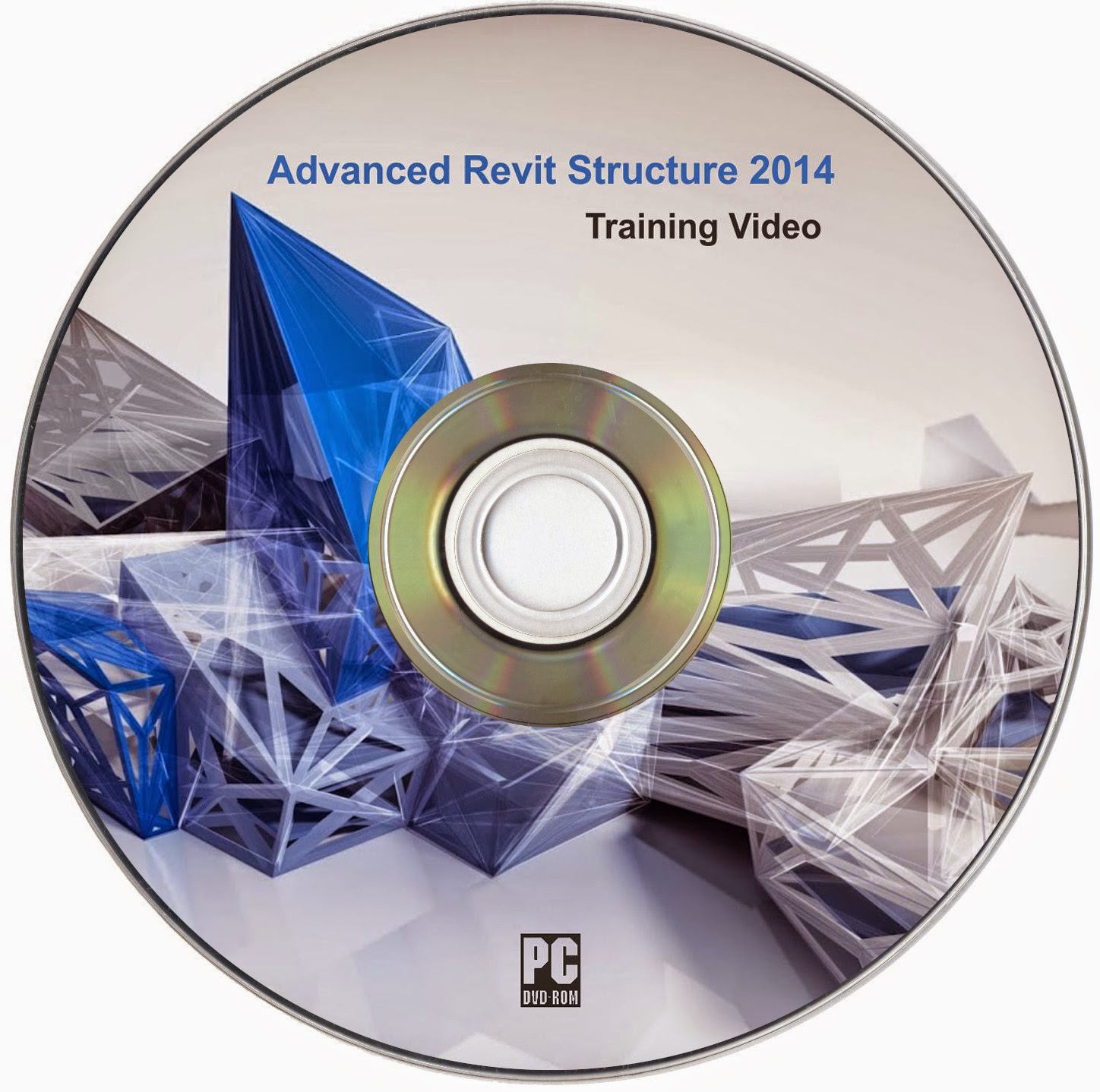 DigiDVDs: Advanced Revit Structure 2014 Training Video