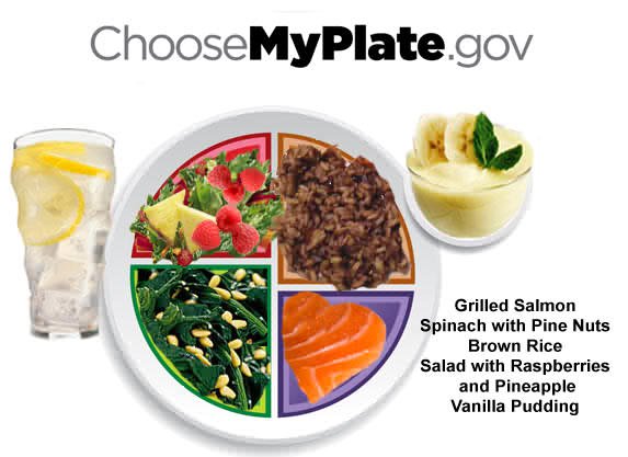 Curvy Eco-centric Recessionista!: Choose My Plate