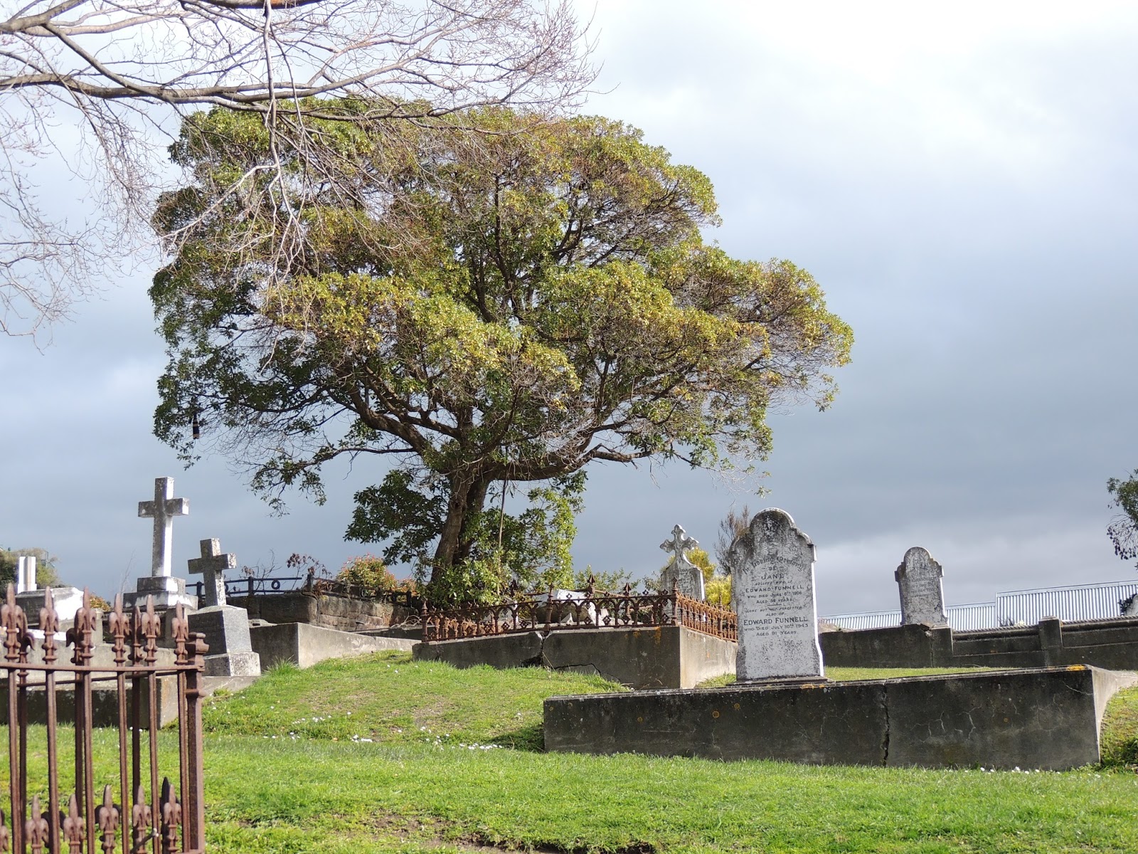 THE ROAD TAKEN : Akaroans, Then and Now