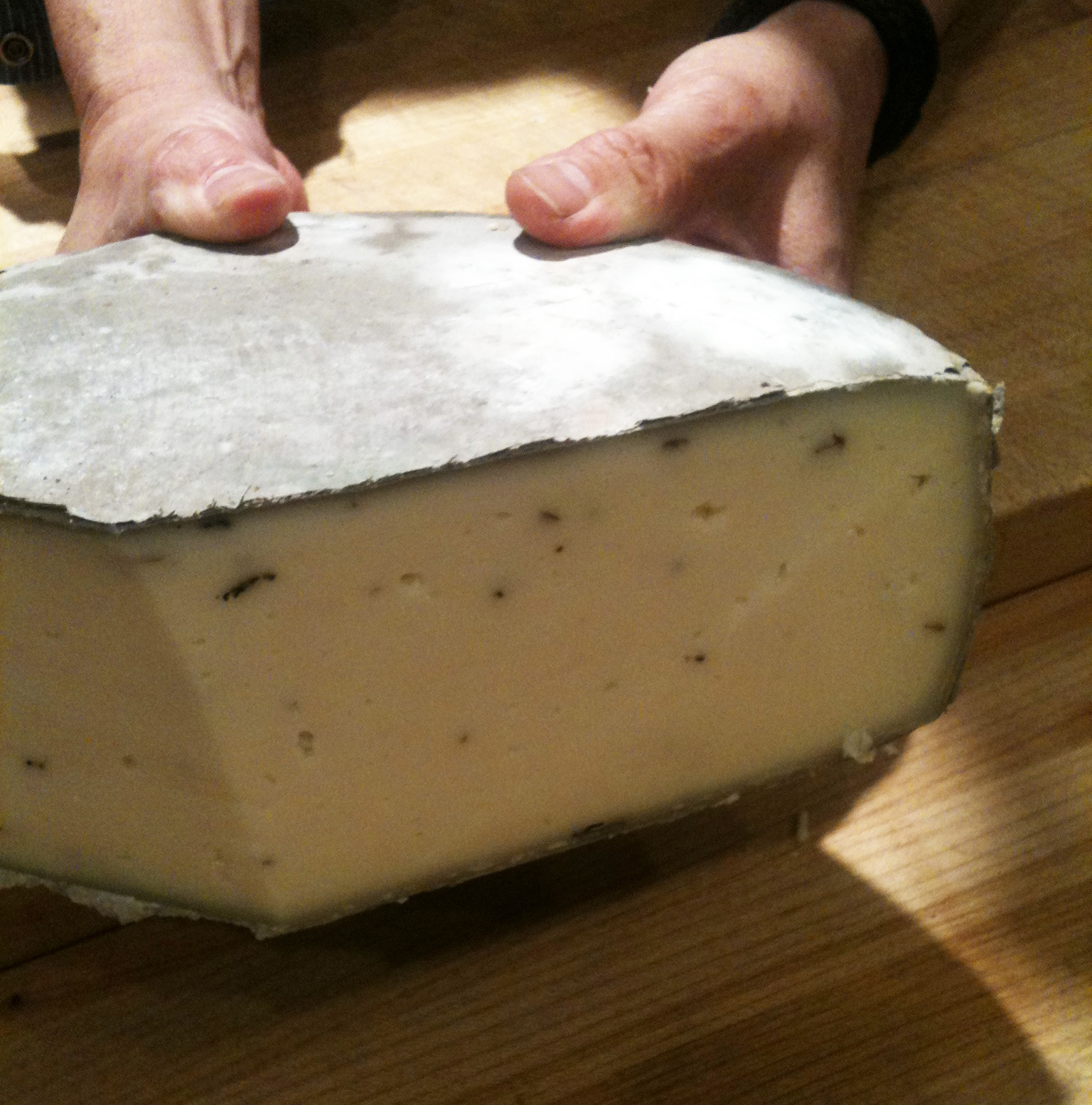 One More Bite Blog | Food | Travel | Adventures: Happy National Cheese Day!