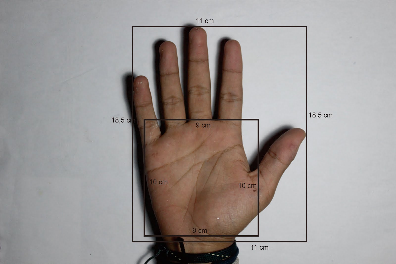 Ergonomi DP-39-01 Group 4: Antropometri Tangan Persentil 5, 50, dan 95 ...