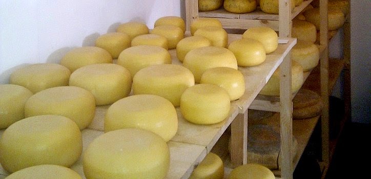 The Irish Food Guide by Zack Gallagher. News about Food and Food ...