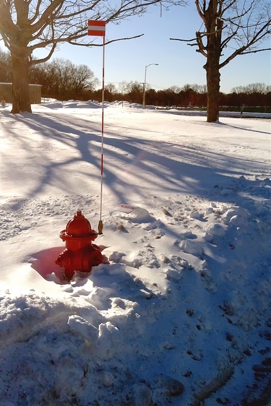 Capadia Designs: Winter will turn to Spring...eventually... Anniversary ...