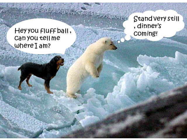 Four Legged Views: Whoops, Olympic Fopaux