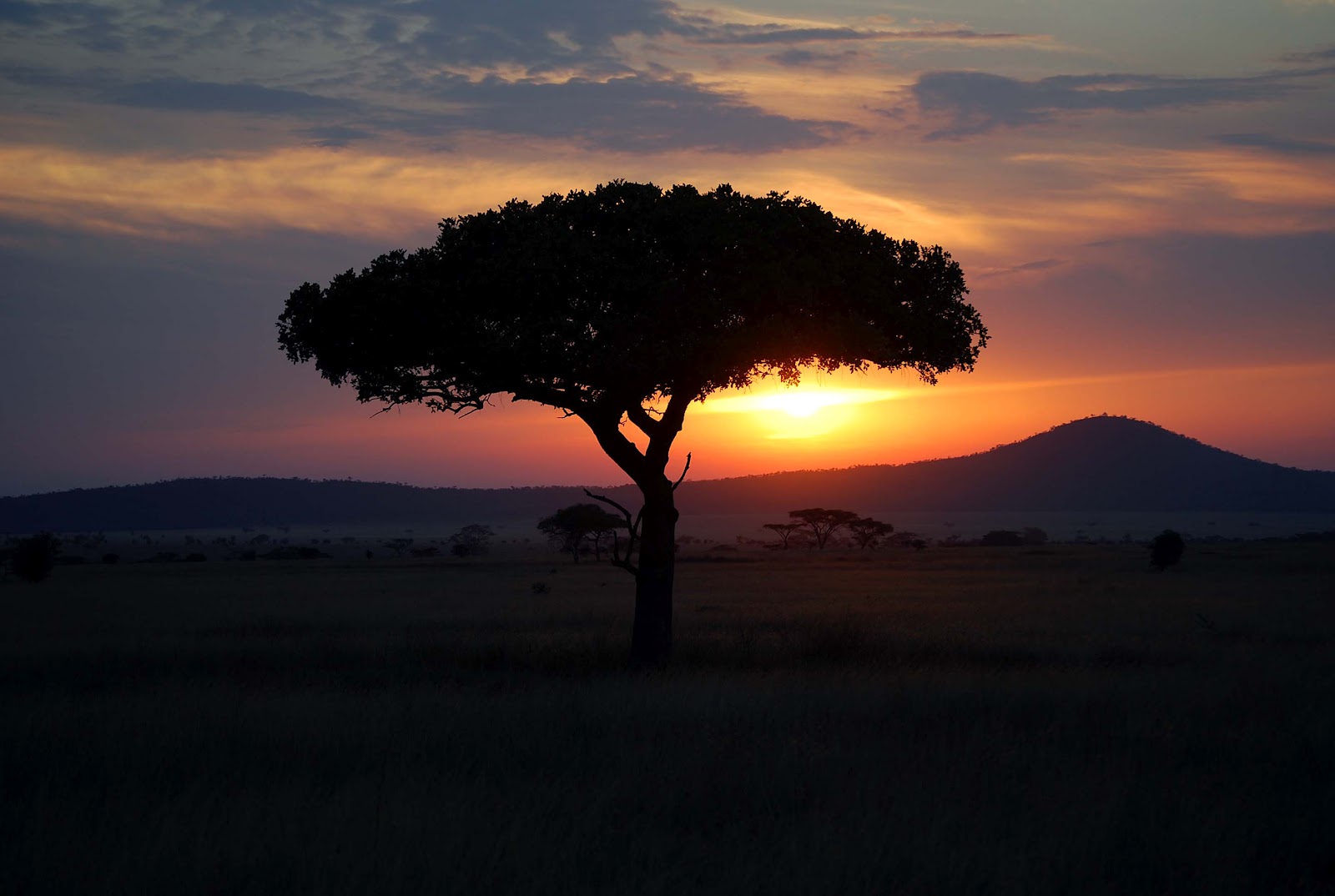 Imagenes sabana africana - Imagui