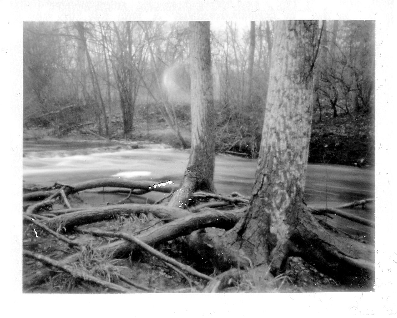 Random Camera Blog: World Wide Pinhole Photography Day