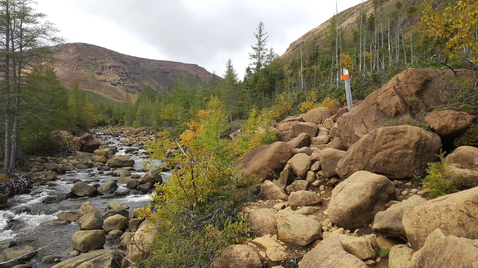 Boucle du mont Albert - Dan en bottines