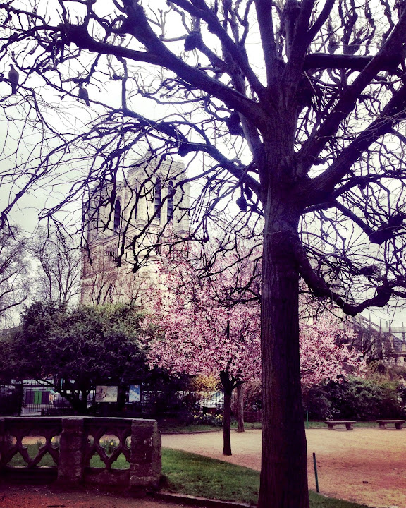 Focus On Paris: Eyeful