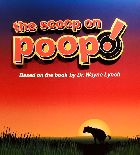 Left Field Wander: The Scoop on Poop