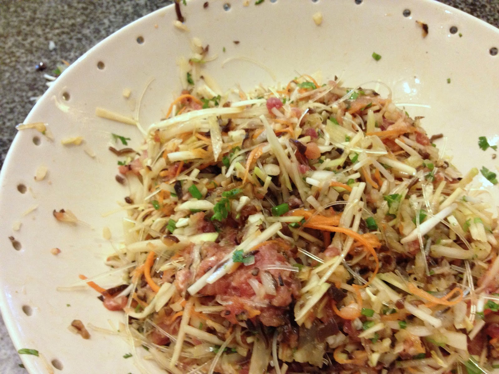 E4 retseptiraamat: Nem ran ja friteeritud kevadrullid