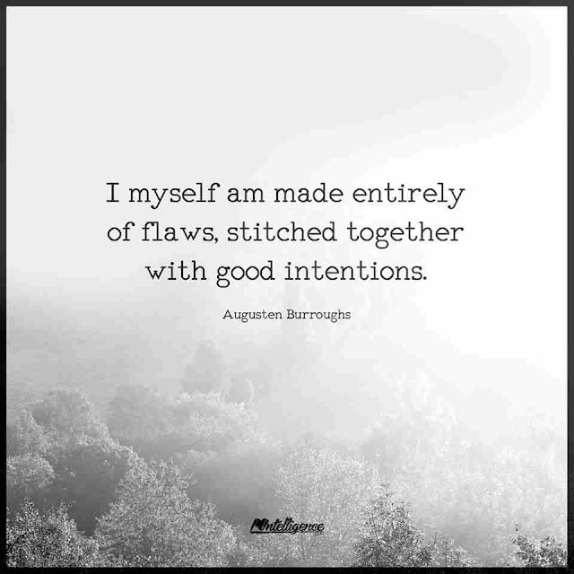 I am made of Flaws stitched together with good intentions. - 101 QUOTES