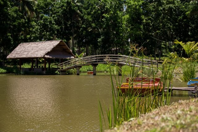 mybeautifulILOILO: In the Lap of Nature at Terra Verde Farm and Forest ...
