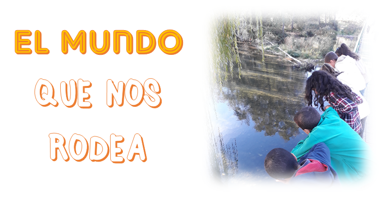 Democracia con clase: Proyecto: El mundo que nos rodea