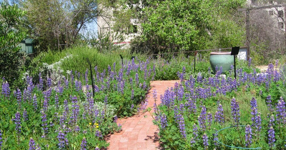 Mother Nature's Backyard - A Water-wise Garden: Sustainable Living ...