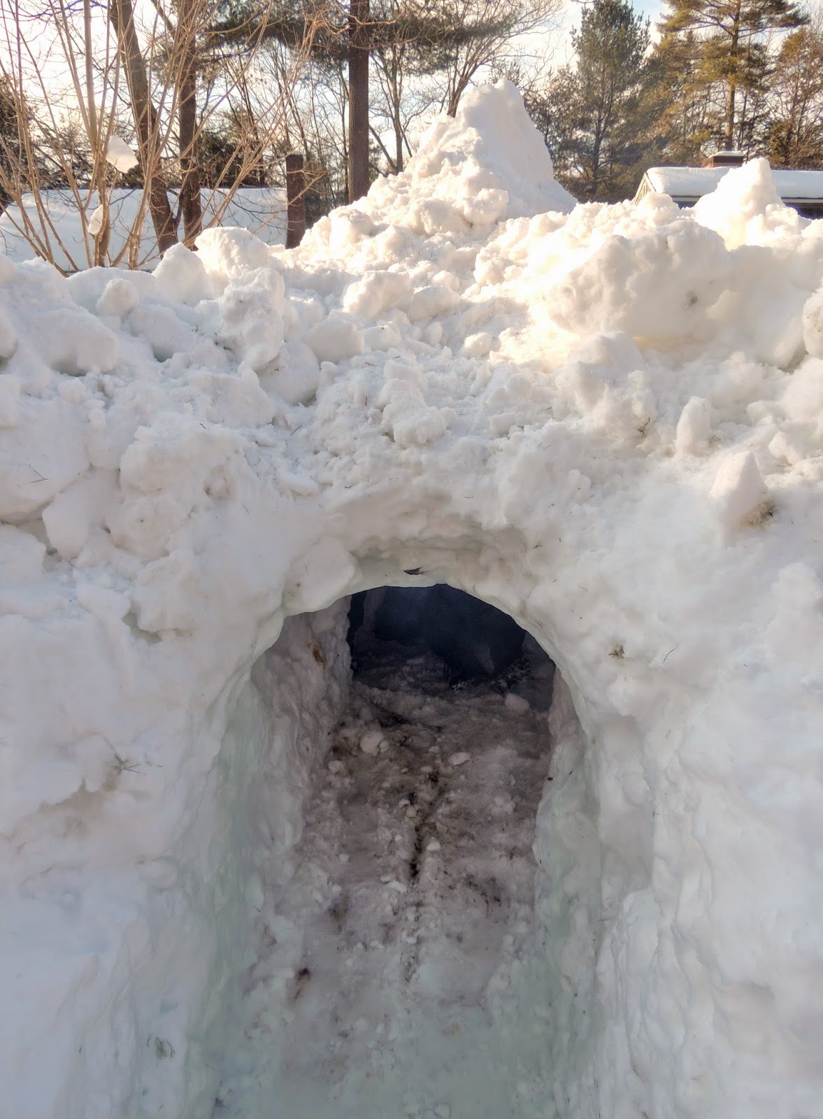 22 Applegate Lane: Snow Forts Aren't Just for Kids Anymore!