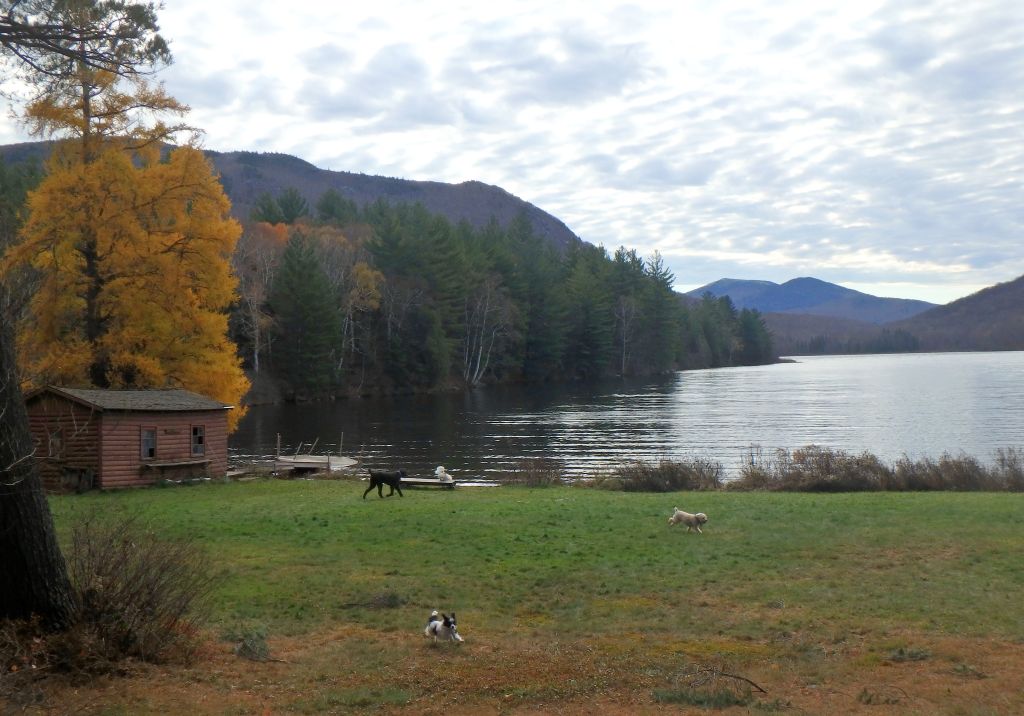 Windswept Adventure: Adventure To Debar Pond Lodge - Part 2