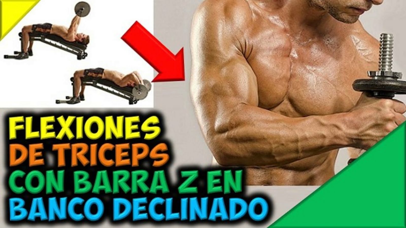Ejercicios Para Brazos: Flexiones de Triceps con Barra Z en Banco Declinado