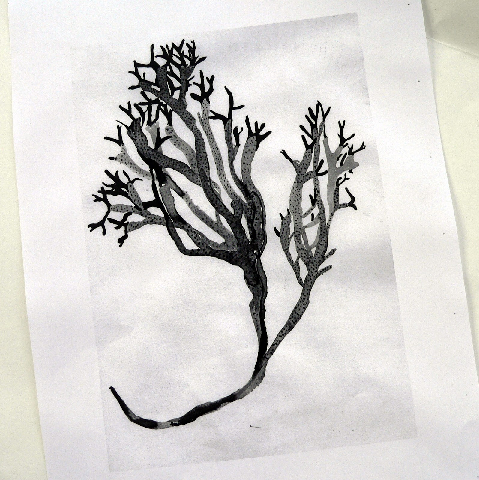 mouse notebook: seaweed prints