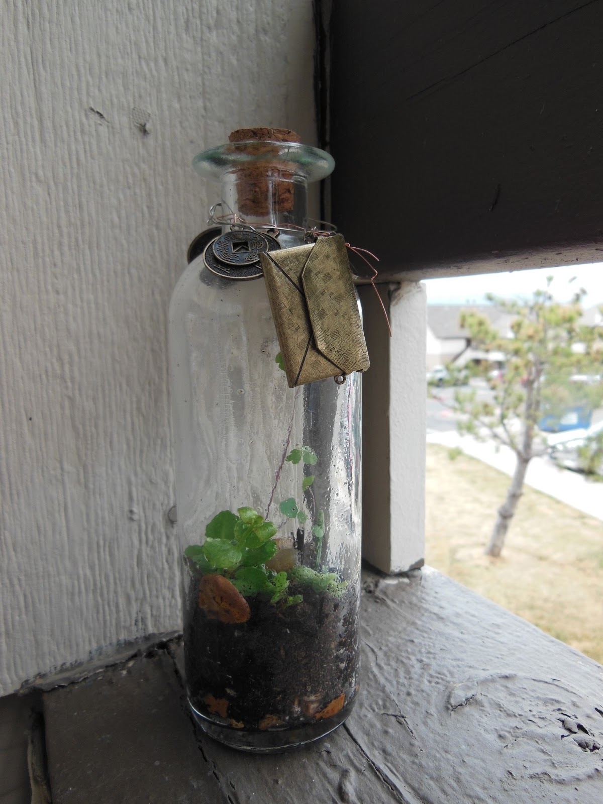 The Green House: Bottle Terrarium