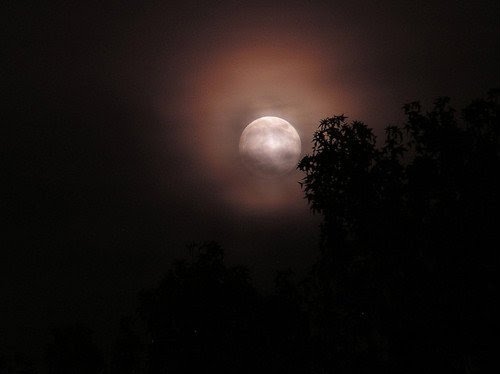 Earrings Everyday: Moon Glow