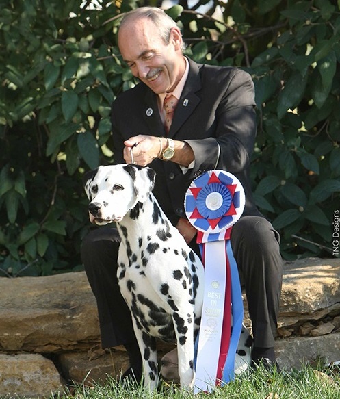 DOG SHOW POOP: FIRST TIMER BACK2BACK BIS